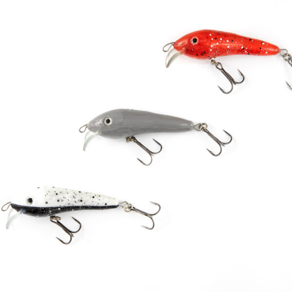 Jõe- ja meriforell – Spinnaputukad