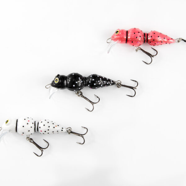 Jõe- ja meriforell – Spinnaputukad